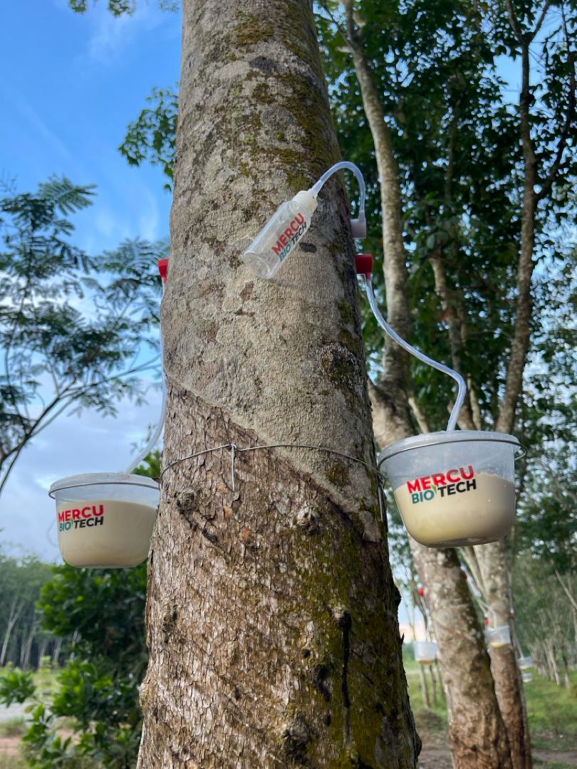 MERCU BIOTECH - Mercu Group